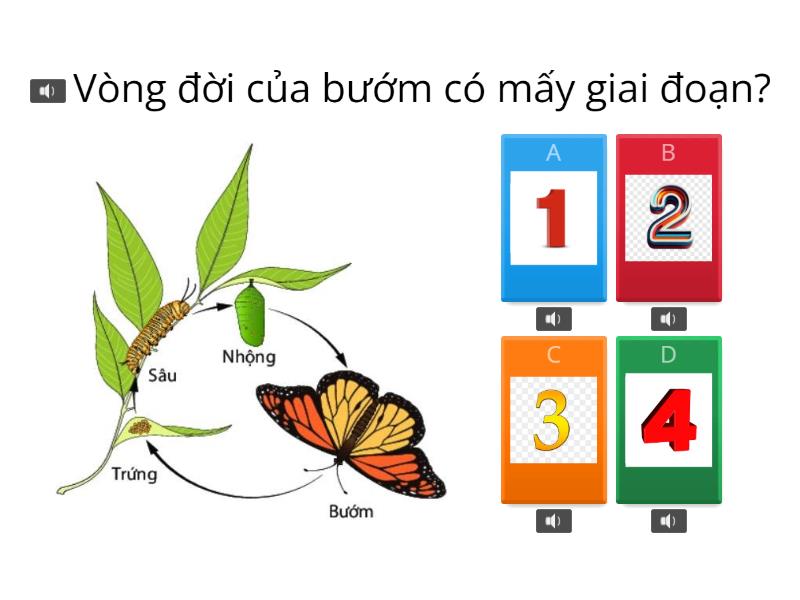 Trò chơi "Ai nhanh nhất" - Quiz