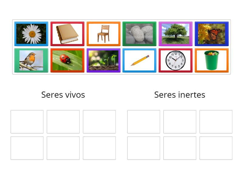 Clasifica los seres vivos y los seres inertes - Group sort