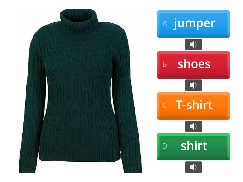 AS2 review clothes - Quiz