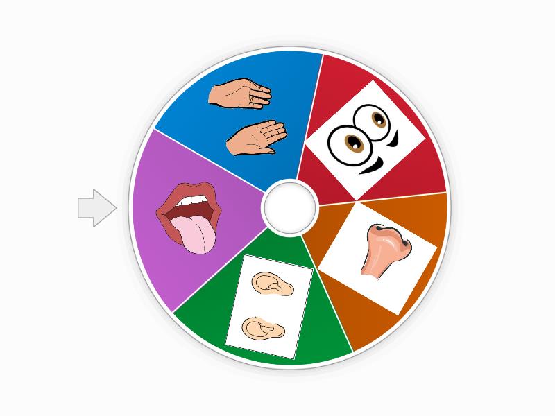 Senses - Spin the wheel