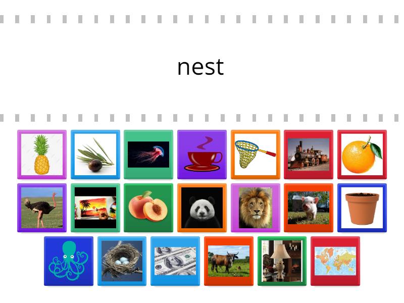 phonic review N,O,P - Find the match