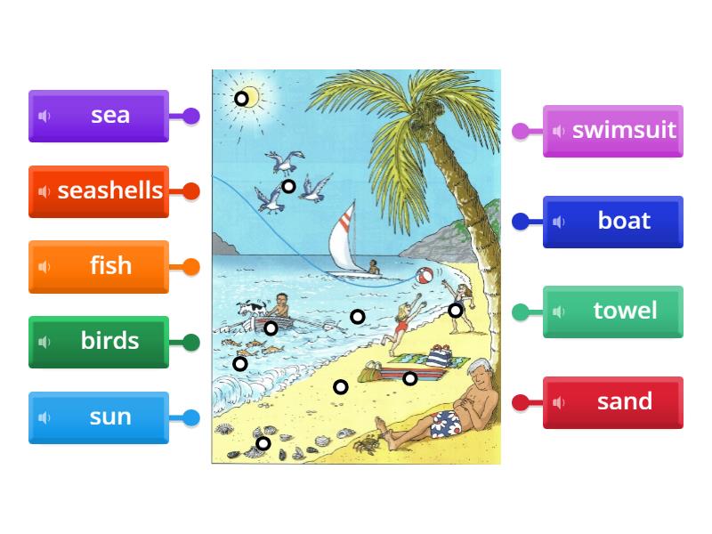 On the beach - Labelled diagram