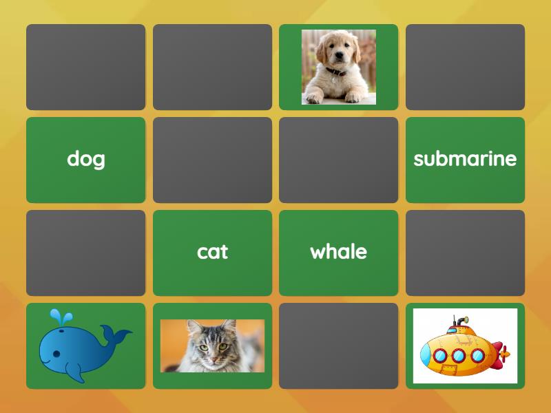 Initial Sound Match - Matching pairs