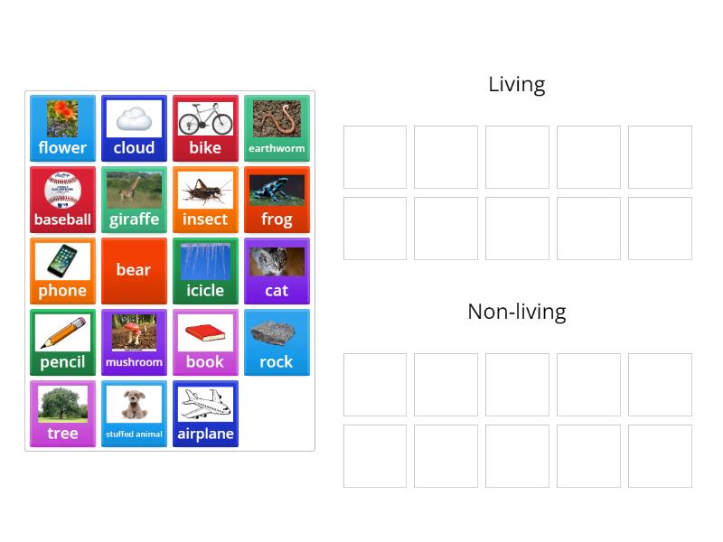 Living vs. Nonliving - Group sort