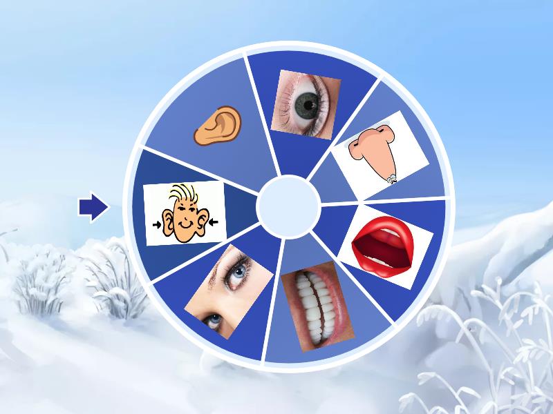 and name the parts of the face - Spin the wheel