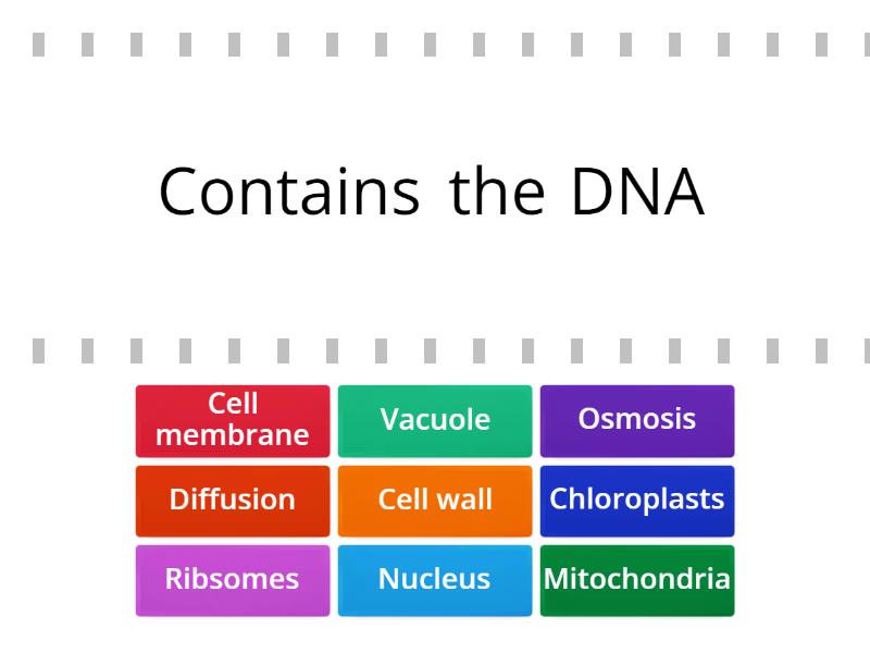 Biology warm up - Find the match