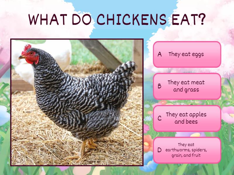 Y5 - Food Chain - Quiz