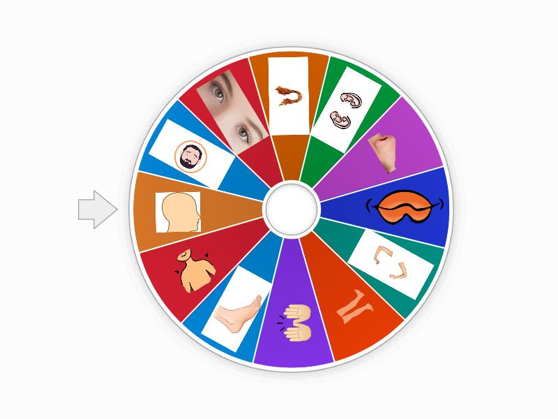 Parts of the Body - Spin the wheel