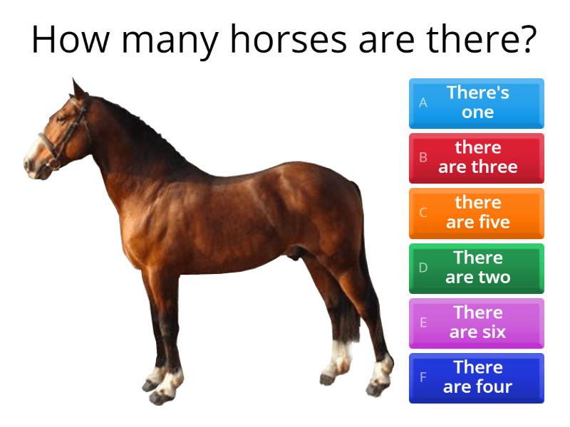 How many do you see - Quiz