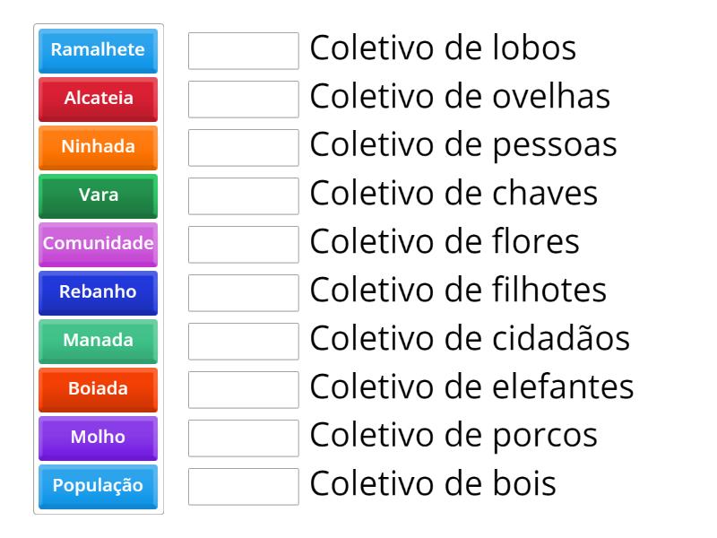 Substantivos Coletivos - 3° Ano Fundamental - Apparier