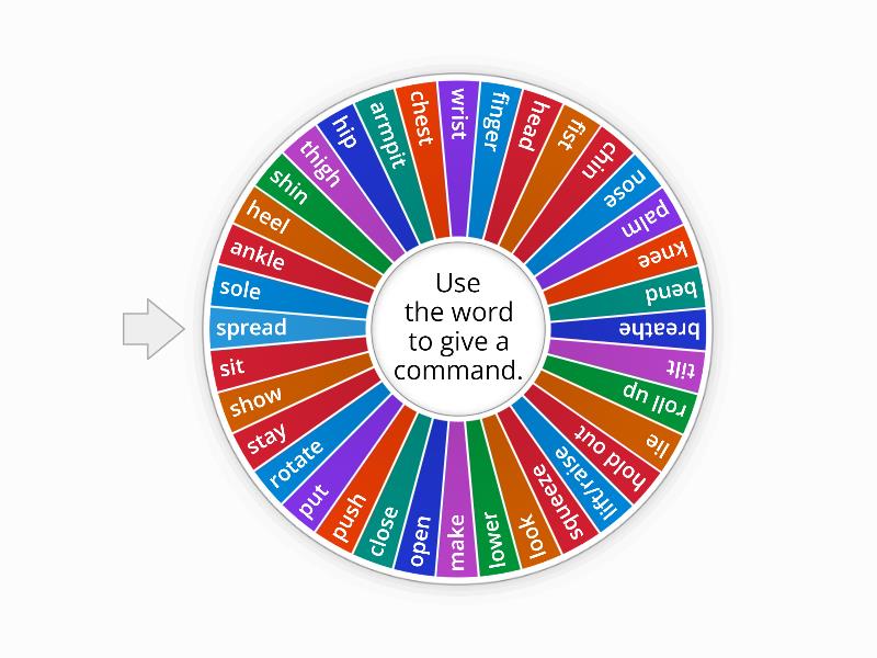 Give a Command: Imperatives and Body Parts - Spin the wheel