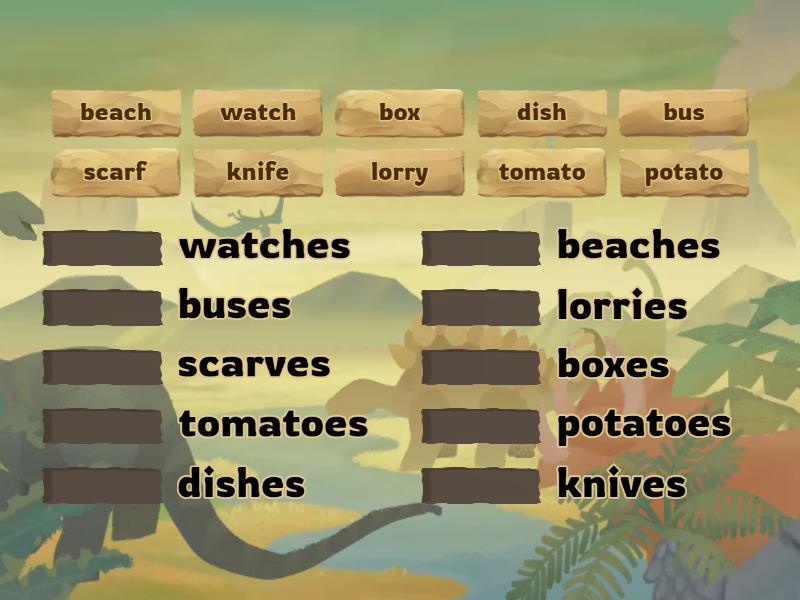 Plural Nouns - Match up