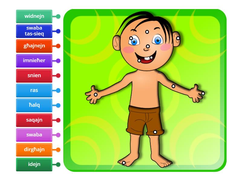 Body parts in Maltese - Labelled diagram