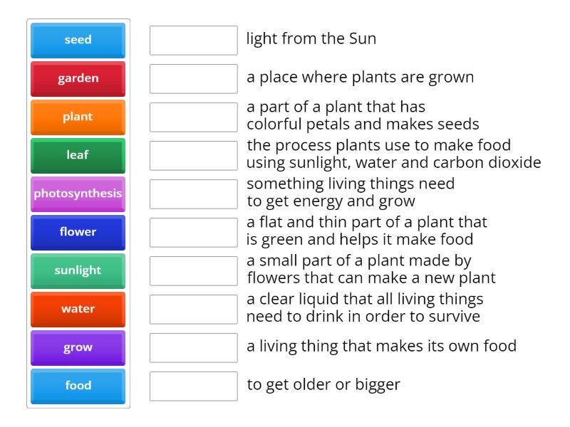 ULS May 2024 (Unit 9) - Match up