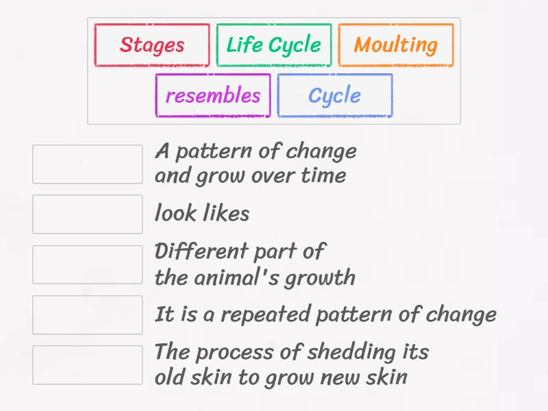 LCOA_Define the terms - Match up