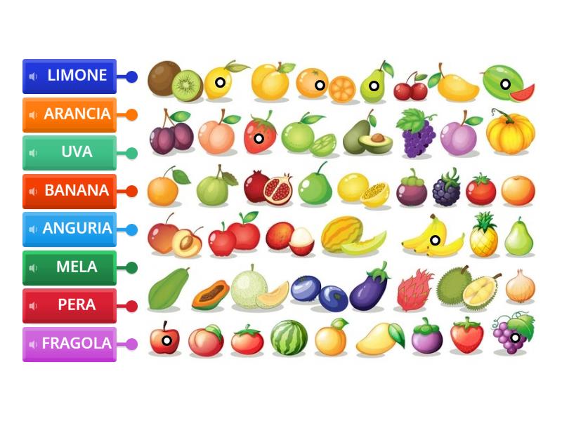 FRUTTA - Labelled diagram