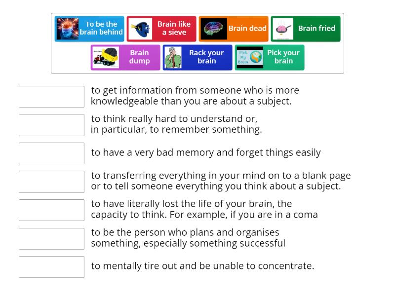 Brain - Match up