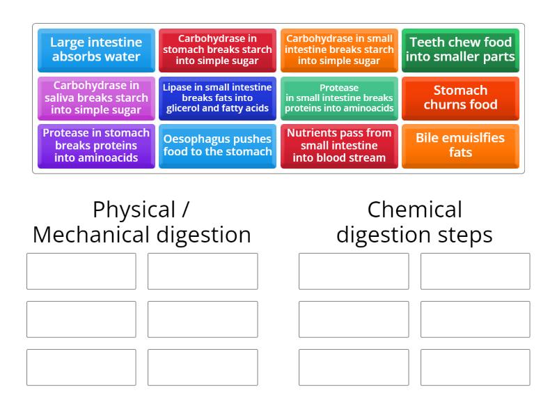 Mechanical and chemical digestion - Ordenar por grupo