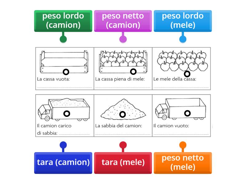 Peso lordo, peso netto, tara - Labelled diagram