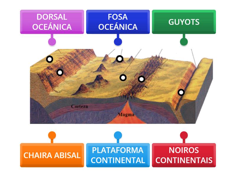 RELEVO OCEÁNICO - Diagrama con etiquetas