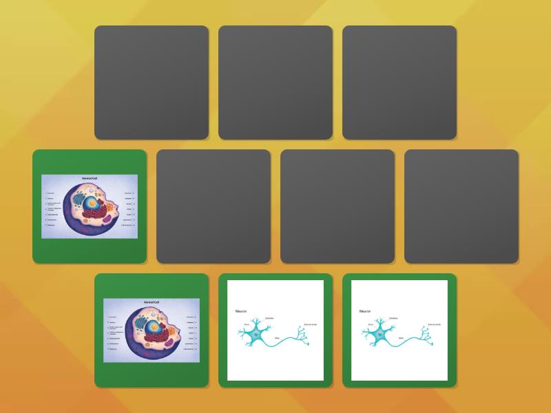 Review Science - Matching pairs