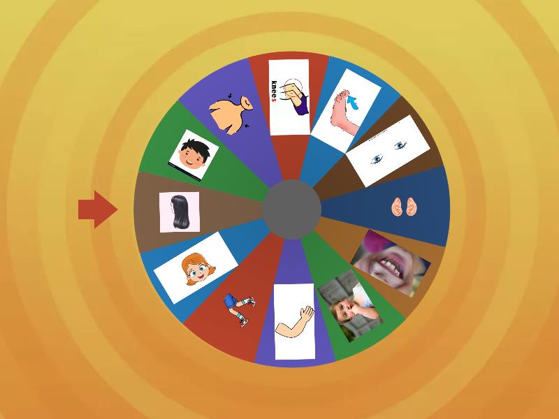 Parts of the body - Spin the wheel