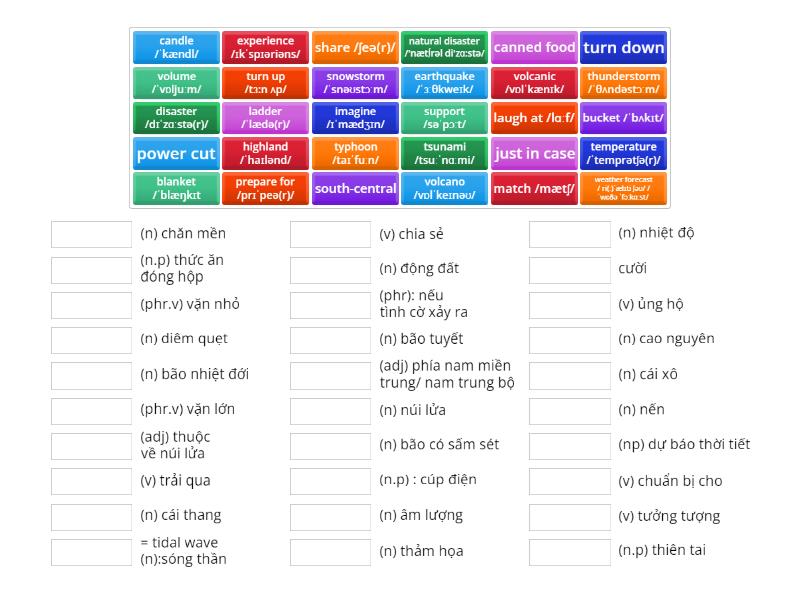 Grade 9 Vocabulary Unit 9 - Match up