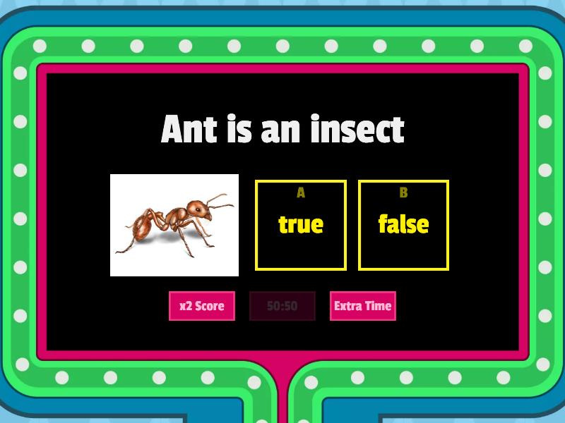 Ant Quiz Gameshow Quiz