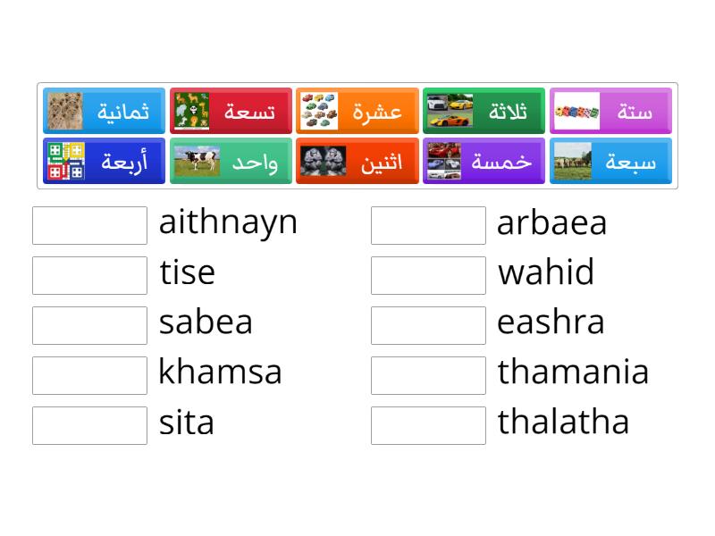 Arabic Numbers - Match up