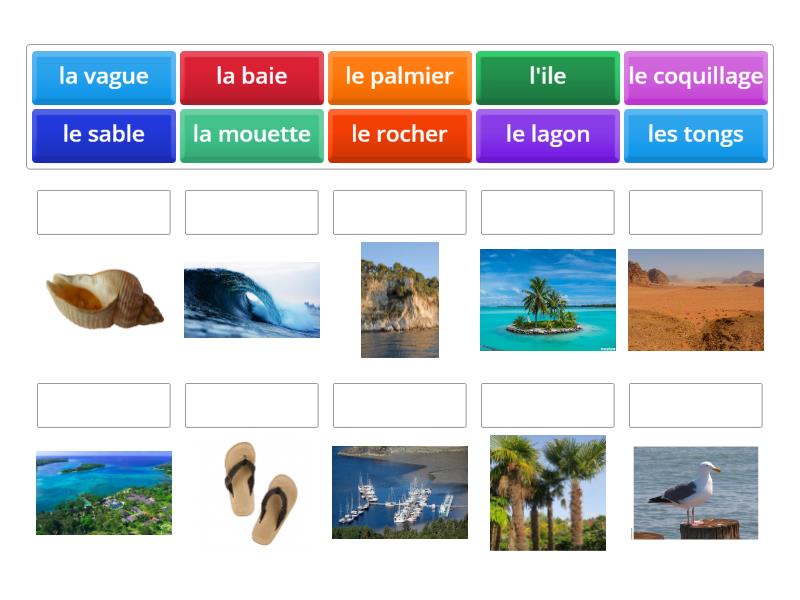 Le vocabulaire "à la mer" - Match up
