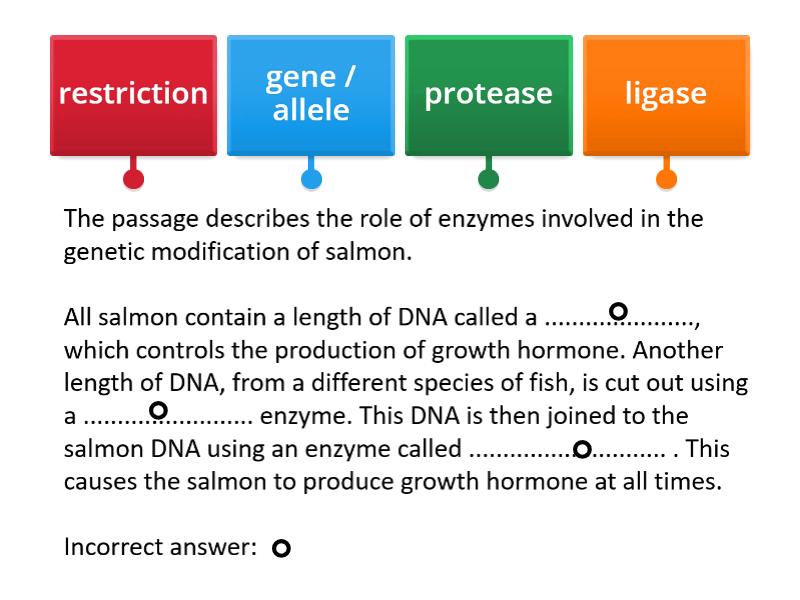 Enzymes involved in genetic modification - Labelled diagram