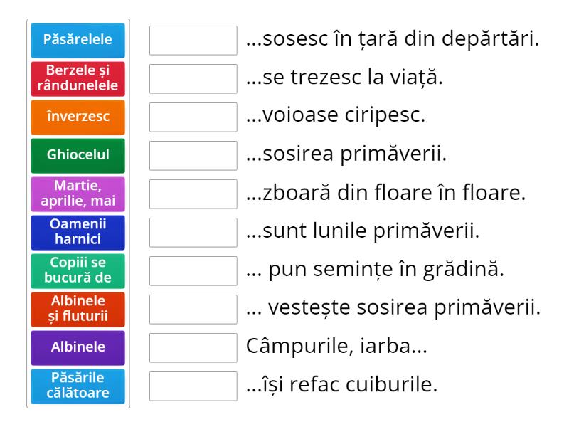Primavara - Match up