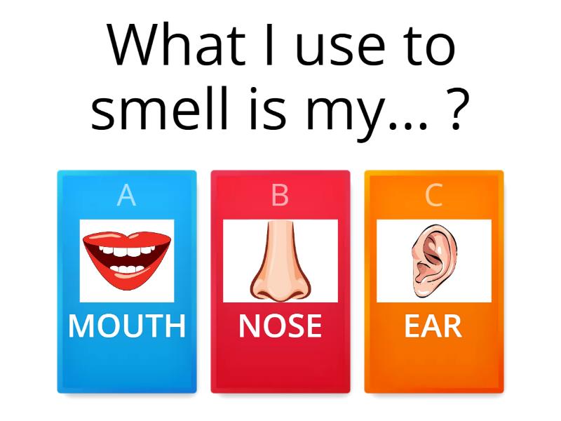Parts of the face - Kindergarten - Quiz