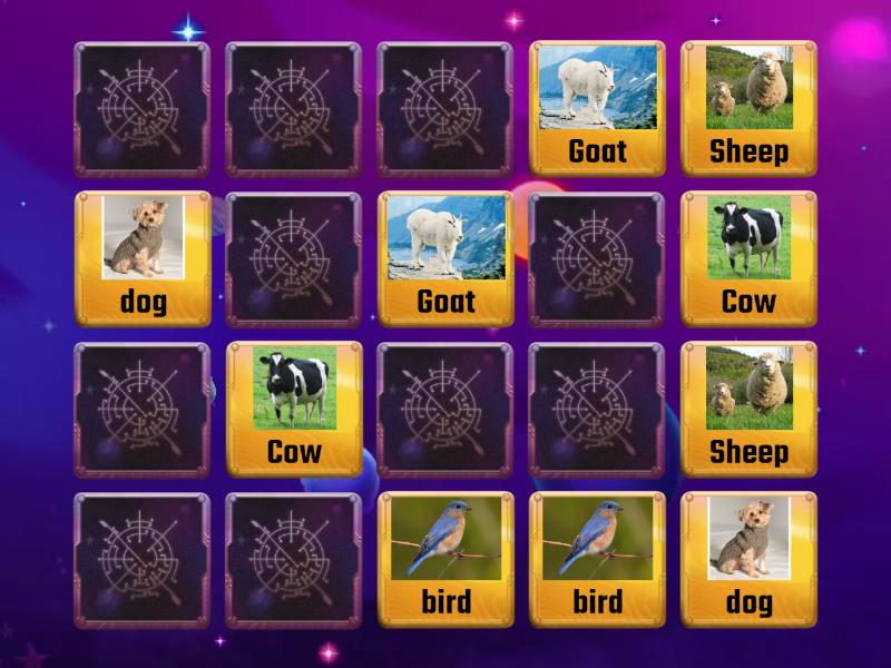 Matching Pair: Animals - Matching pairs