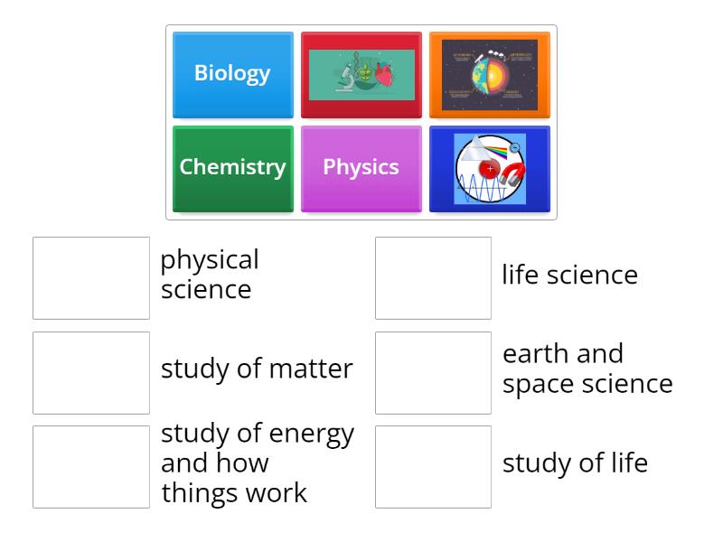 Branches of Science - Match up