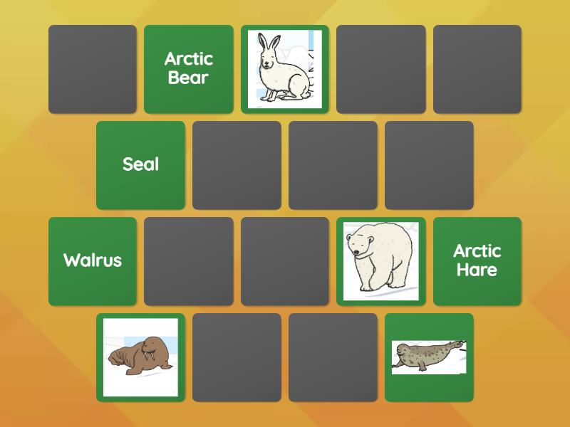 Arctic animals - Matching pairs