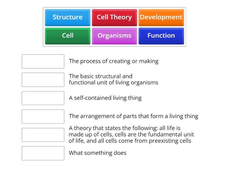 Cell Theory Wordwall - Match up