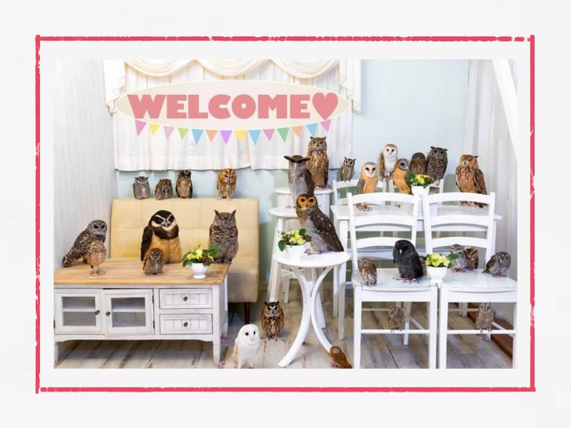 RoadMap a2 7C Unusual cafes - Tarjetas flash