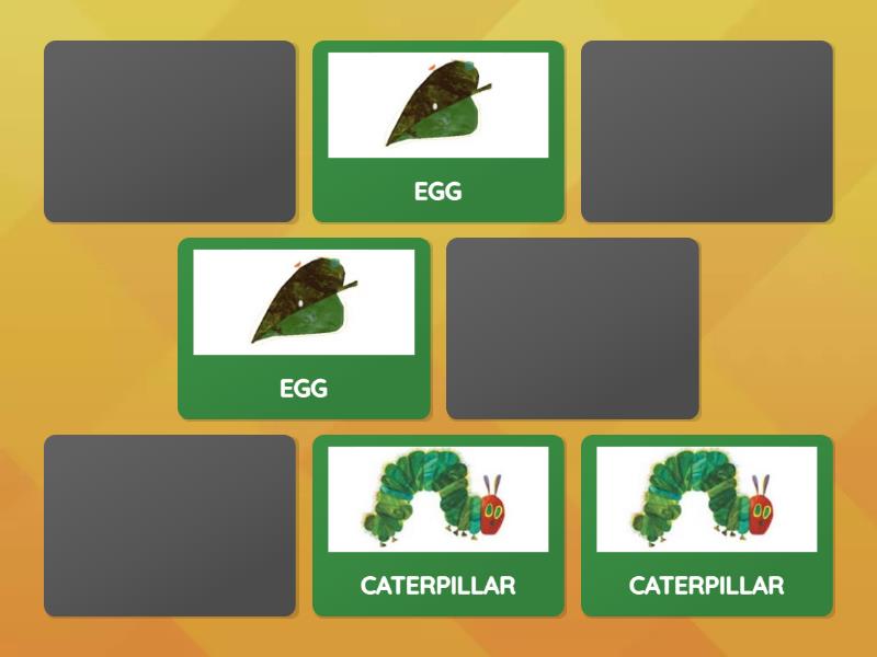 Butterfly Life Cycle - Matching pairs