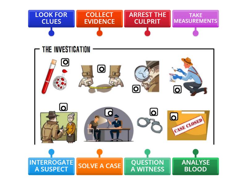 THE INVESTIGATION - Labelled diagram