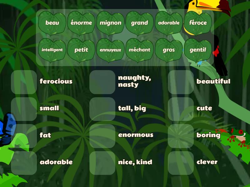 P6 French les adjectives (pour décrire les animaux) - Match up