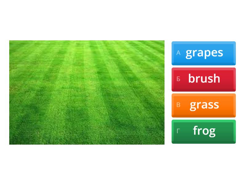 FF2 unit 4 Phonics - Викторина