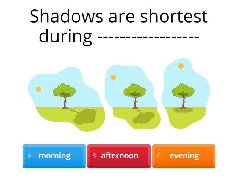 Shadow - Quiz