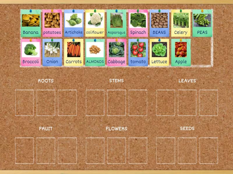 What part of the plant do we eat? - Group sort