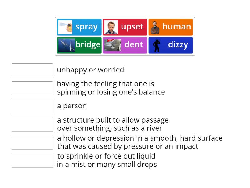 The Animal Bridge - Match up