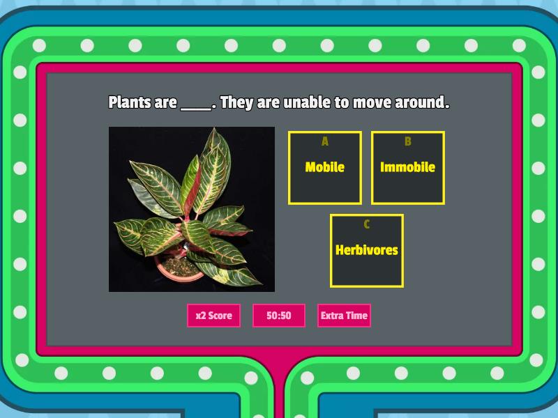 Classification of Living Things: P4 Science - Gameshow quiz