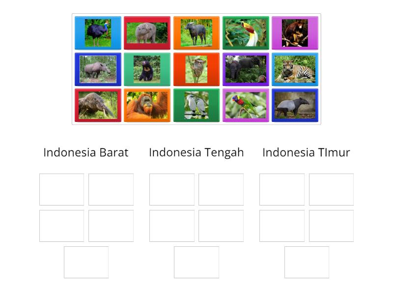 Corak Fauna Indonesia - Group sort