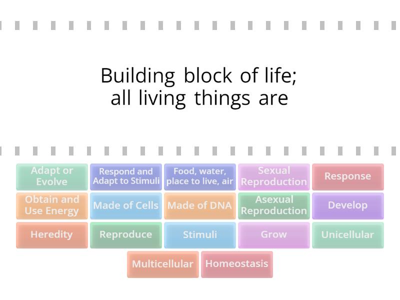 Needs and Characteristics of Living Things Review - Find the match