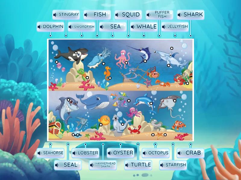 Sea Animals - Labelled diagram