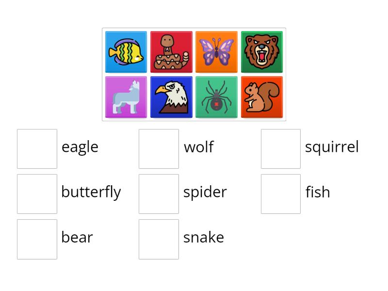 Wild animals. - Match up